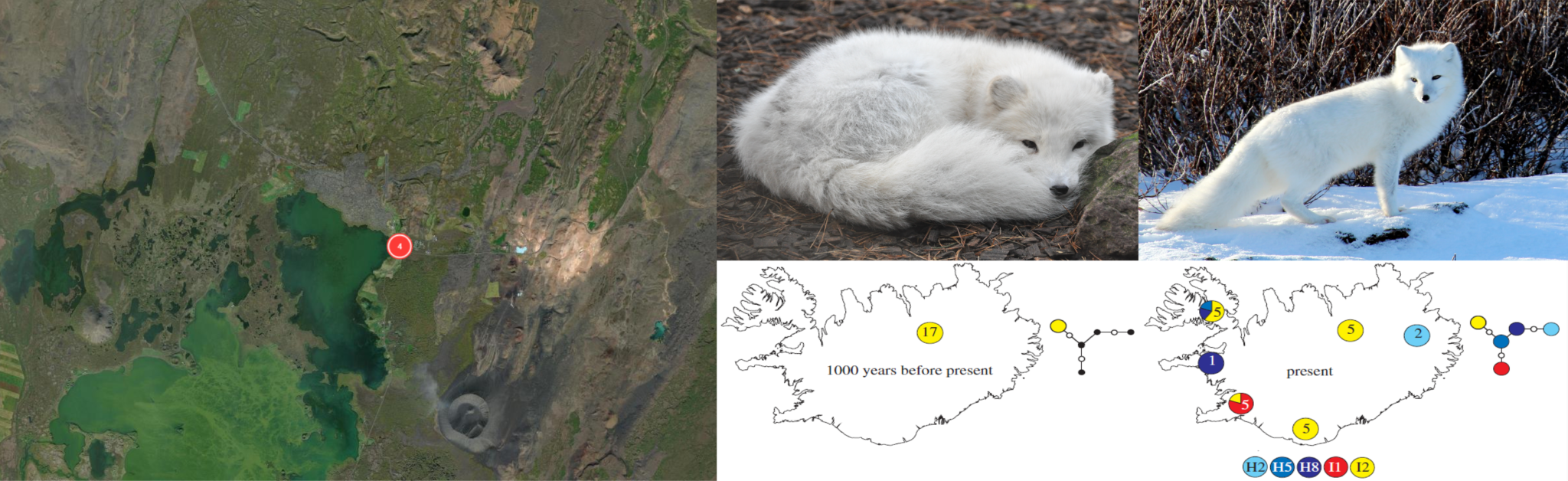 Quantifying_Vignette – DataARC