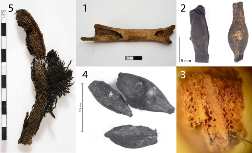 Quantifying_Vignette – DataARC